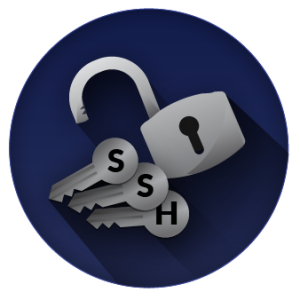 Four SSH Vulnerabilities You Should Not Ignore